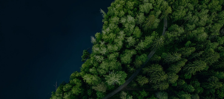 Company Responsibility | PineBridge Investments